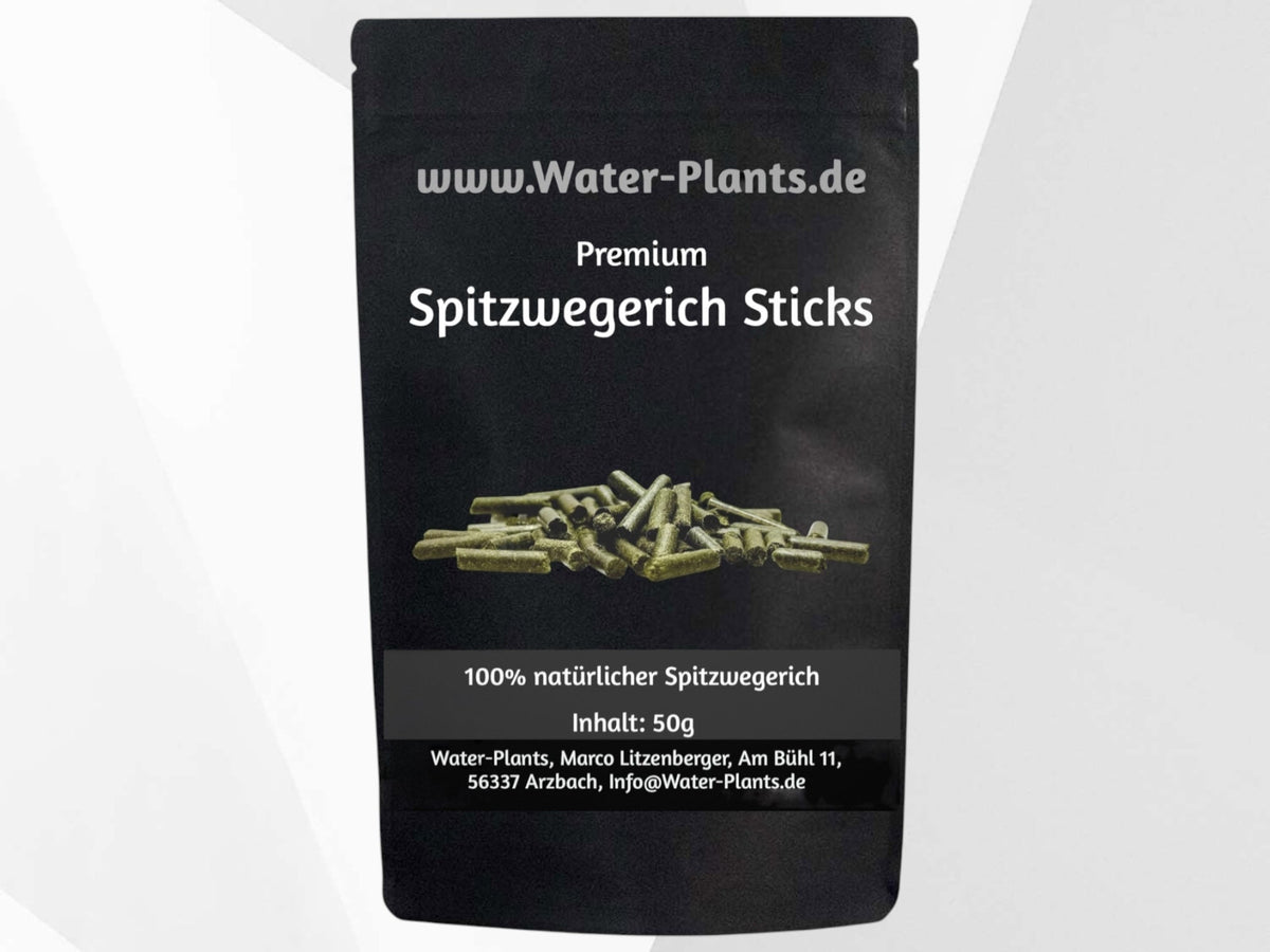 50g Premium Spitzwegerich Sticks (99,80€/1kg)